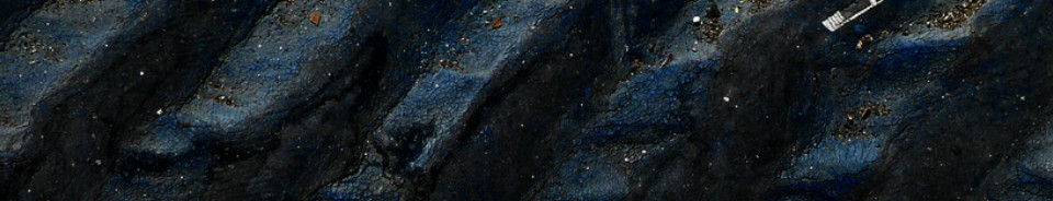 Contenido Programatico :: Cobo Science